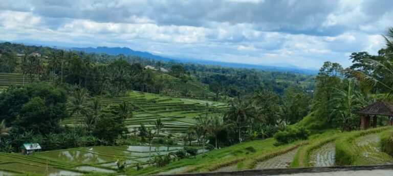 Bali: ubud costumize tour with private driver - Itinerary Breakdown