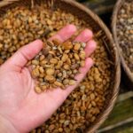 Bali: Ubud Day Trip With Barong Dance - The Detailed Itinerary Breakdown