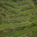 Bali Ubud : Full or Half Day Private Adventure Tour - In-Depth Look at the Itinerary