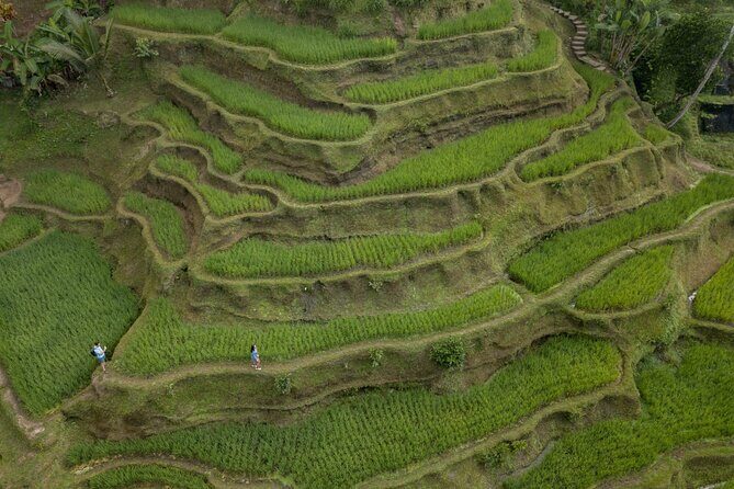 Bali Ubud : Full or Half Day Private Adventure Tour - In-Depth Look at the Itinerary