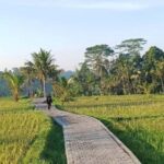 Bali: Ubud Highlight Tour With Flexible Itinerary Options - The Itinerary Breakdown: What to Expect