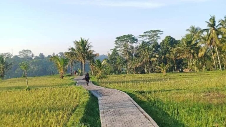 Bali: Ubud Highlight Tour With Flexible Itinerary Options - The Itinerary Breakdown: What to Expect