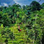 Bali Ubud Zipline River Rafting and Rice terrace Tour with Lunch - The Sum Up