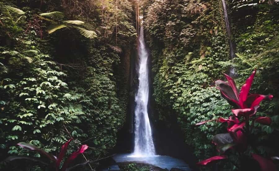 Bali : Ulun Danu Beratan Temple and UNESCO Rice Terrace Tour - What Sets This Tour Apart?