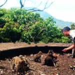 Bali: Ulun Danu Temple, Waterfall, and Twin Lakes Tour - Vibrant Local Markets and Playful Monkey Forest