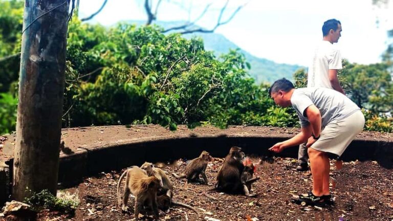 Bali: Ulun Danu Temple, Waterfall, and Twin Lakes Tour - Vibrant Local Markets and Playful Monkey Forest