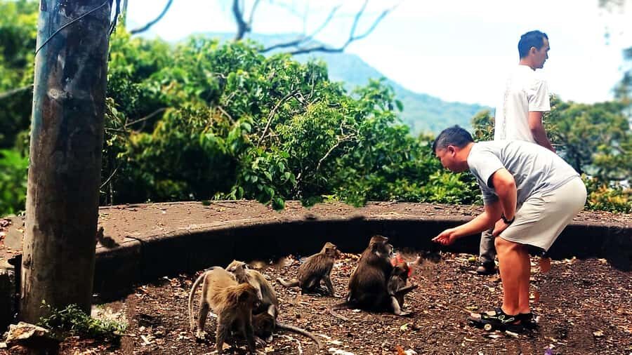 Bali: Ulun Danu Temple, Waterfall, and Twin Lakes Tour - Vibrant Local Markets and Playful Monkey Forest