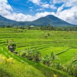 Bali: Ulundanu, Waterfall, Jatiluwih & Tanah Lot Temple Tour - What Makes This Tour Worth It?