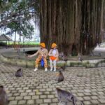 Bali: UNIQUE ACTIVITY OF FEEDING MONKEYS - Final Thoughts: Who Should Consider This Tour?