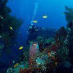 BALI: USAT SHIPWRECK DIVE WITH HOTEL TRANSFERS & LUNCH - What Makes This Tour Stand Out?