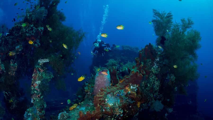 BALI: USAT SHIPWRECK DIVE WITH HOTEL TRANSFERS & LUNCH - What Makes This Tour Stand Out?