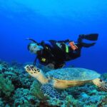 Bali Vip: Sea Walker Under Water Experience - Who Should Consider This Tour?