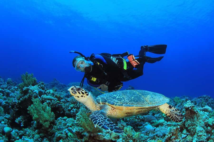 Bali Vip: Sea Walker Under Water Experience - Who Should Consider This Tour?