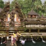 Bali Volcano & Ubud Day Tour  Temples, Rice Terraces & Lunch - Who Should Consider This Tour?