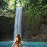 Bali: Waterfall, Tirta Empul & Traditional Village Day Trip - What Makes This Tour Special?