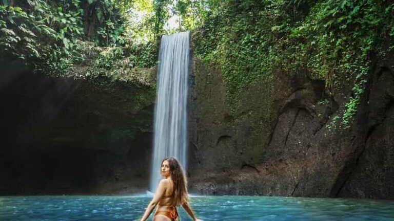 Bali: Waterfall, Tirta Empul & Traditional Village Day Trip - What Makes This Tour Special?