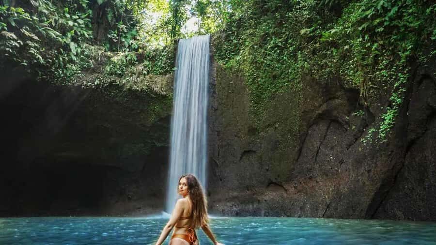 Bali: Waterfall, Tirta Empul & Traditional Village Day Trip - What Makes This Tour Special?
