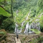 Bali: Waterfalls, Lake Buyan, and Honey Farm Tour - In-Depth Look at the Itinerary