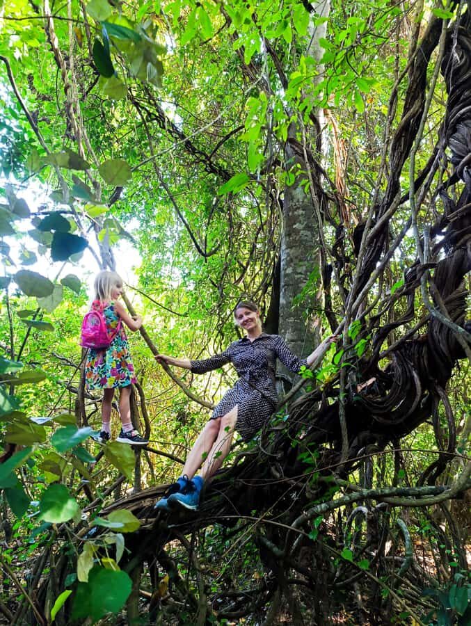 Bali: West Bali Rainforest Guided Trekking Tour - What Travelers Can Expect