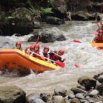 Bali: White Water Rafting, Lunch and Private Pickup - The Experience and What You’ll Love