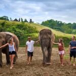 Bali Zoo: Guided Ethical Elephant Care Experience - The Sum Up