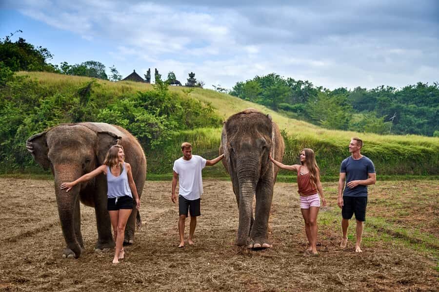 Bali Zoo: Guided Ethical Elephant Care Experience - The Sum Up