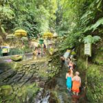 Balinese Purification at holy water temple with Local - What to Expect During the Ritual