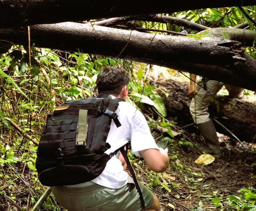 Balis Mystical Jungle Trek & Hidden Waterfall Adventure - The Practical Side: What to Know Before Booking