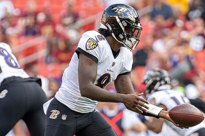 Baltimore Ravens Football Game at M&T Bank Stadium - Who Will Love This Tour?
