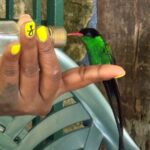 Bamboo rafting and bird sanctuary tour from Montegobay - Why This Tour Stands Out