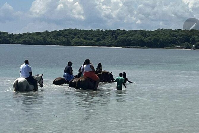 Bamboo Rafting and HorseBack Riding Excursion in OchoRios Jamaica - Who Will Love This Tour?