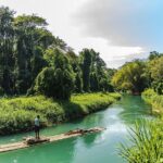 Bamboo Rafting at Martha Brae River & Lunch At Scotcheis - Final Words: Is It Right for You?
