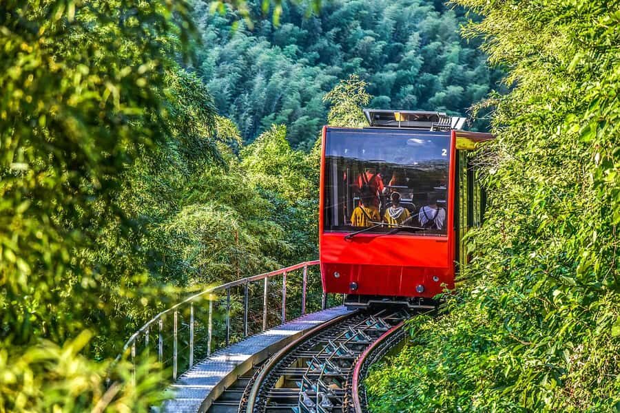 Bamboo Sea Direct Access Tour: High-Speed Rail from Shanghai - What You Can Expect from This Tour