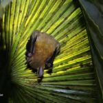 Ban Khao Sok: Rafting, Cooking, & Night Jungle Trek Tour - What Travelers Say