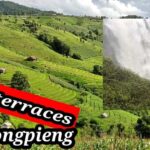 Ban Pa Pong Pieng Rice Terraces Private Guided Tour - Day 2: Trekking, Waterfalls, and Organic Coffee