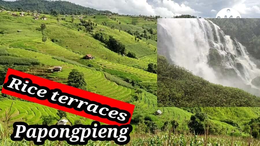 Ban Pa Pong Pieng Rice Terraces Private Guided Tour - Day 2: Trekking, Waterfalls, and Organic Coffee