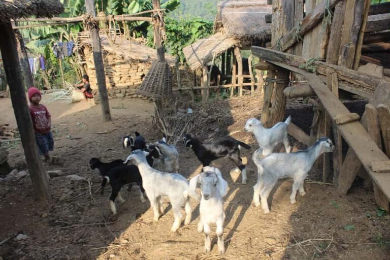 Bandipur: First hand rural cultural experience at homestay - Who Will Love This Tour?