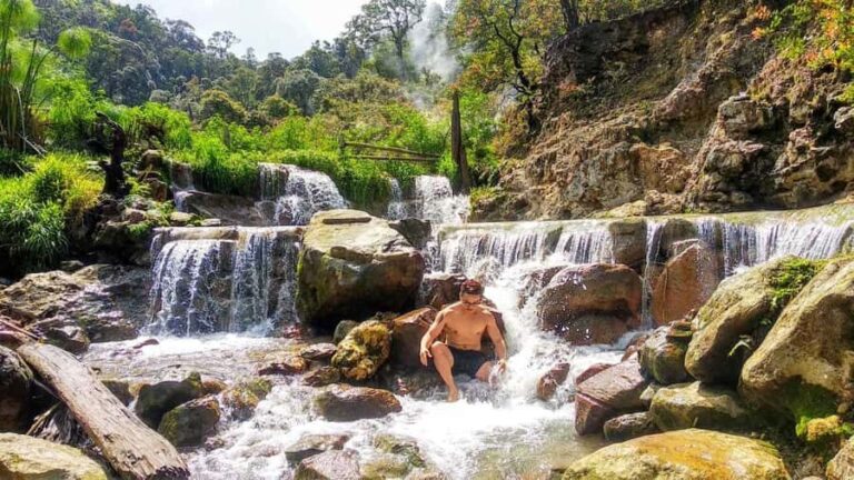 Bandung: Private Car or Minivan Charter with Driver - Who is this tour best for?