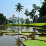BANDUNG TO JAKARTA: Tea Plantation and Botanical Garden Tour - What Travelers Say