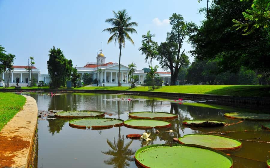 BANDUNG TO JAKARTA: Tea Plantation and Botanical Garden Tour - What Travelers Say