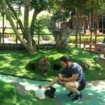 Bandung : Trip of Volcano Active Mountain Tour Guide - What to Expect and Practical Tips