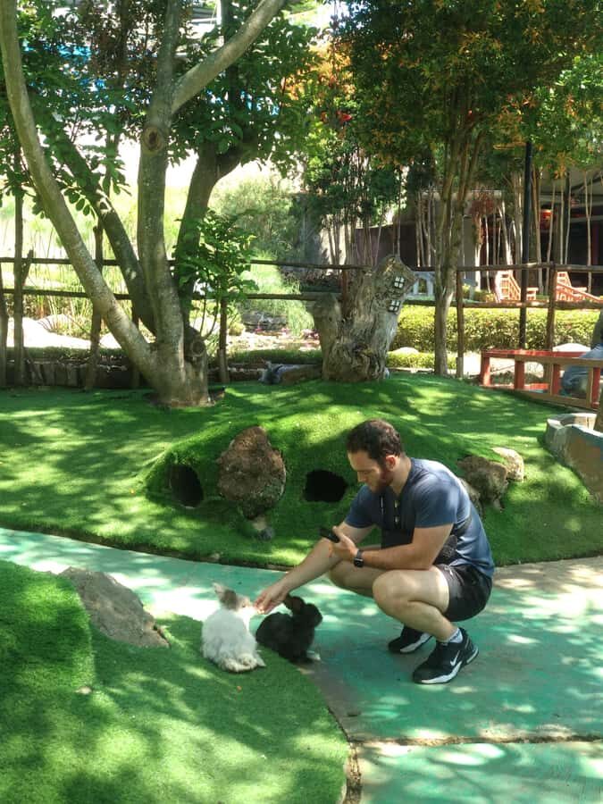 Bandung : Trip of Volcano Active Mountain Tour Guide - What to Expect and Practical Tips