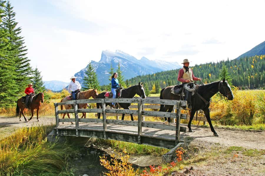 Banff: 3-Hour Bow Valley Loop Horseback Ride - The Horses and Guides: Making the Experience Special