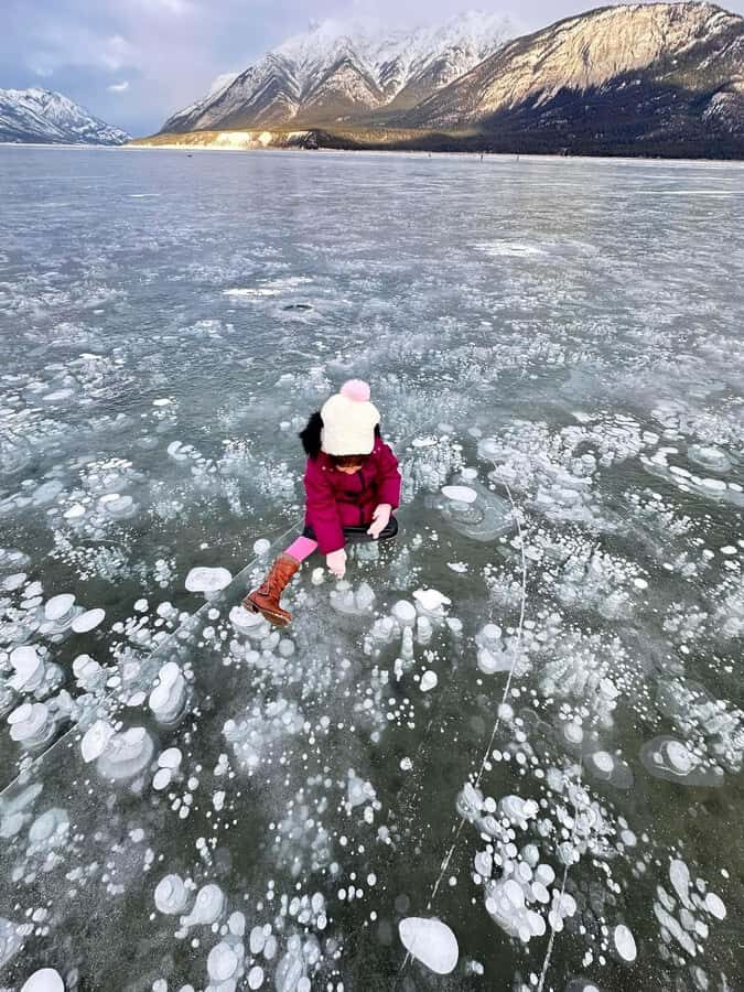Banff: Banff & Yoho National Park Lakes and Gondola Tour - How Does It All Add Up in Terms of Value?