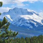 Banff Canmore: Wildlife Focused Guided Snowshoeing Adventure - Why Choose This Tour?