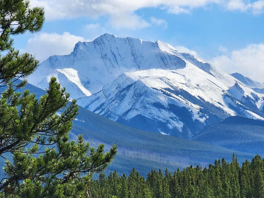 Banff Canmore: Wildlife Focused Guided Snowshoeing Adventure - Why Choose This Tour?