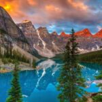 Banff: Louise & Moraine Lake or Johnston Canyon 1/2 Day Tour - A Closer Look at the Experience