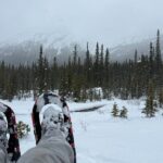 BANFF: Remote Guided Snowshoeing Adventure +Transportation - The Sum Up: Is It Worth It?