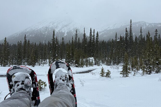 BANFF: Remote Guided Snowshoeing Adventure +Transportation - The Sum Up: Is It Worth It?