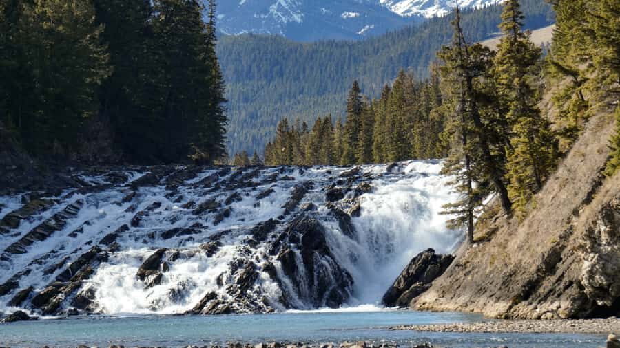 Banff: Winter Day Tour with Banff Gondola & Johnston Canyon - Practical Details and Tips